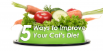 5 Easy Ways To Improve Your Cat's Diet