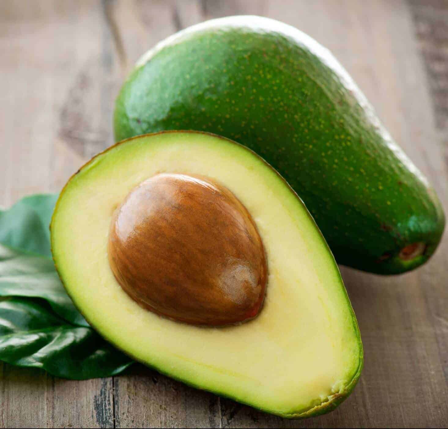 Can Cats Eat Avocados Can Cats Eat Avocados