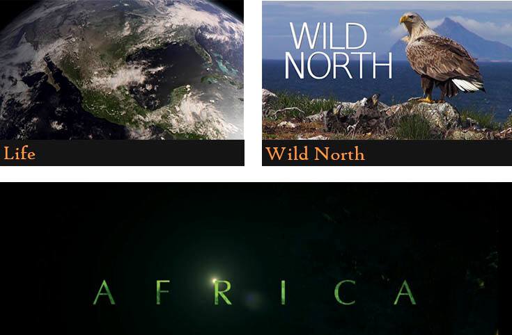 Guest Post: 50 Netflix Shows & Documentaries for Animal Lovers by Mary ...