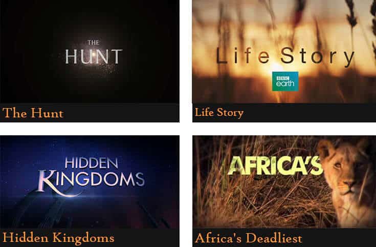 Guest Post: 50 Netflix Shows & Documentaries for Animal Lovers by Mary ...